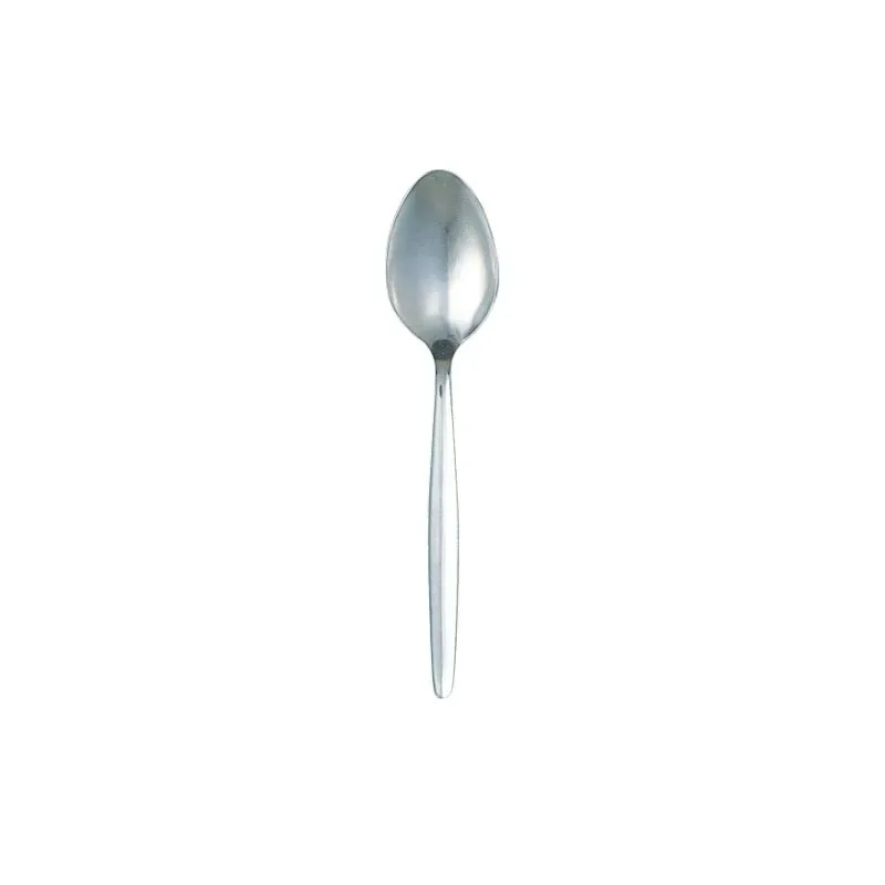 BCE Karl Dessert Spoon | Tafelberg Furnishers